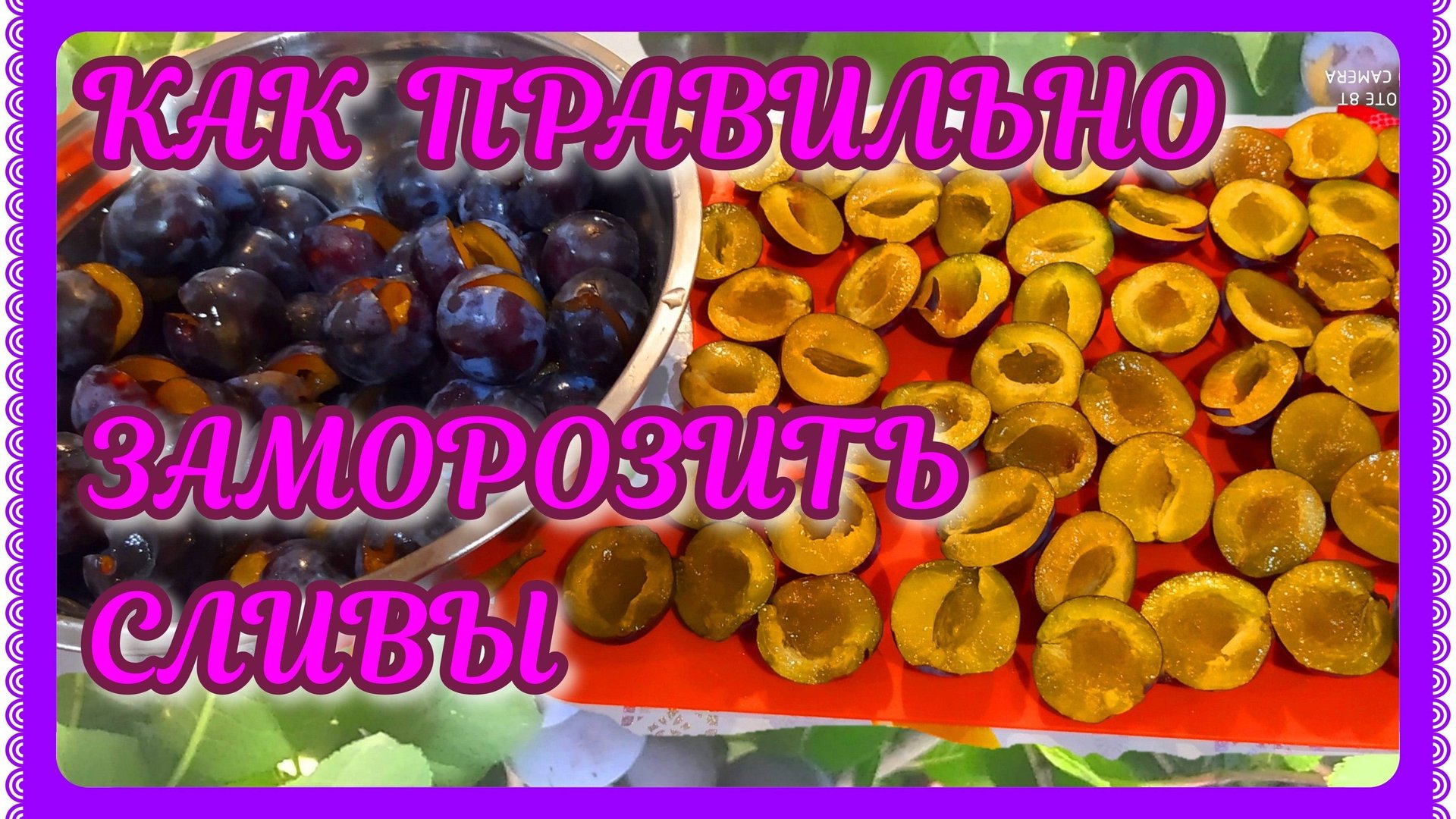 Заморозка сливы на зиму! Несколько способов!