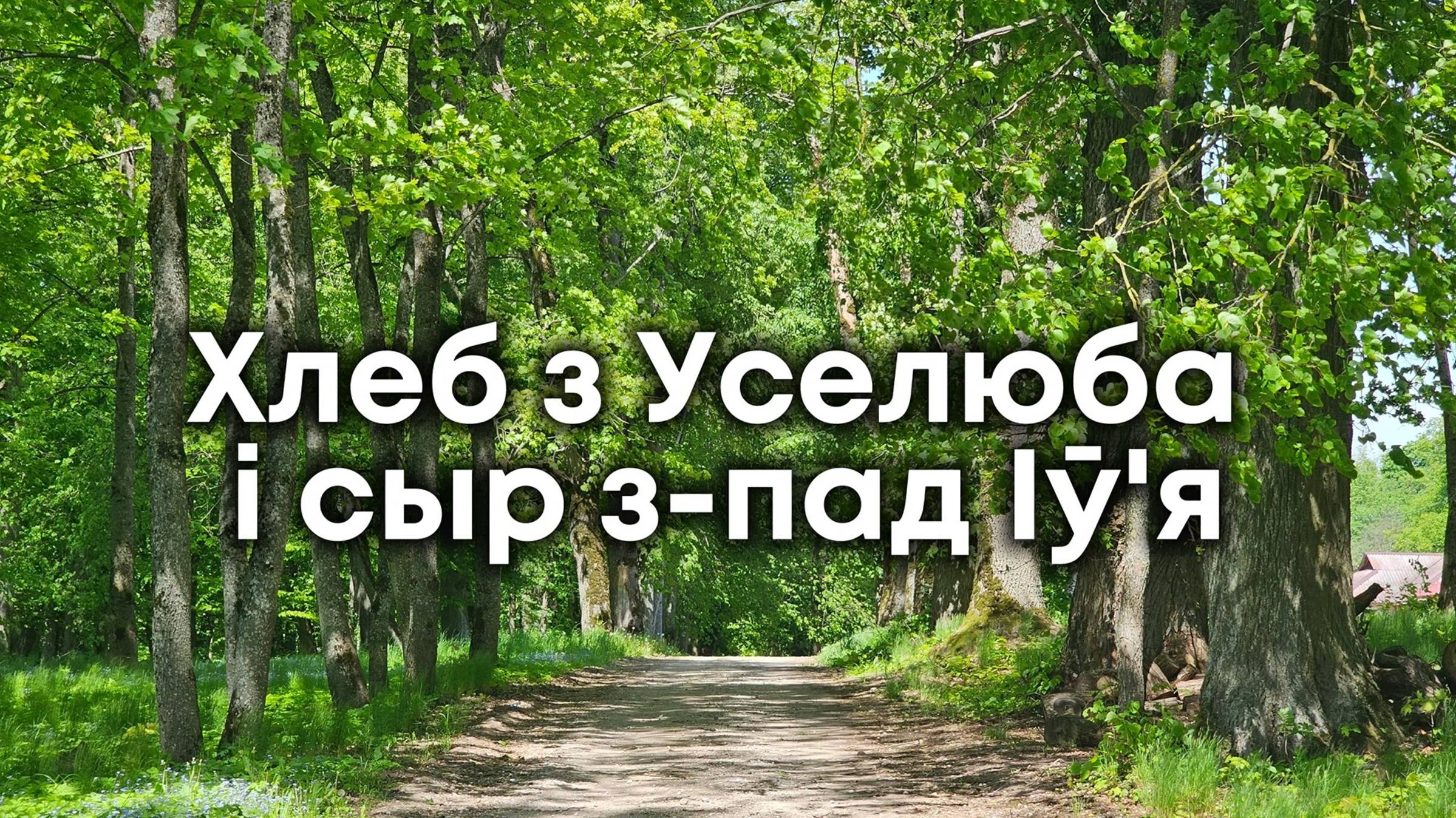 Путешествие по Вселюбу и по Ивьевскому району