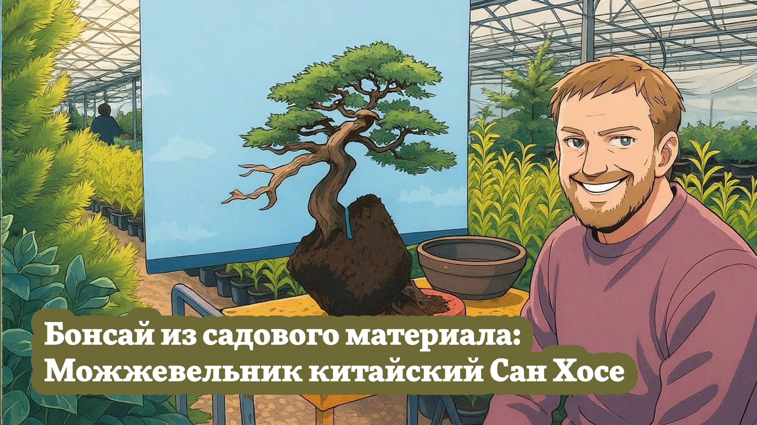 Бонсай из садового материала / Можжевельник китайский Сан Хосе