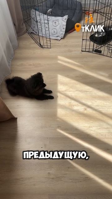 собираем команды в блоки