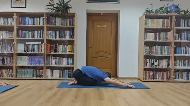 Йога Терапия (комплекс №4)