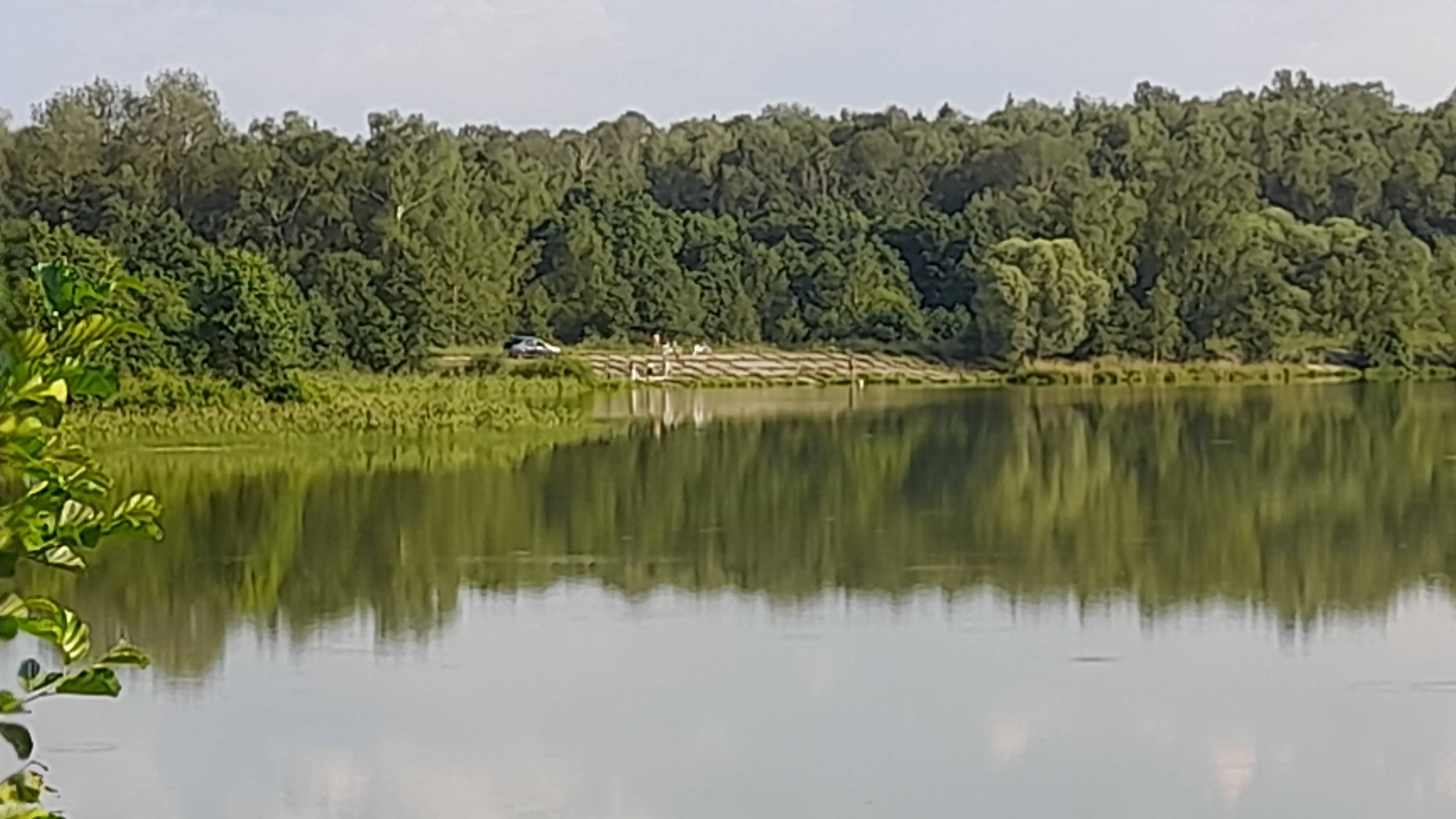 ПРОДАН!!! Земля 3,2ГАс.Чаусово