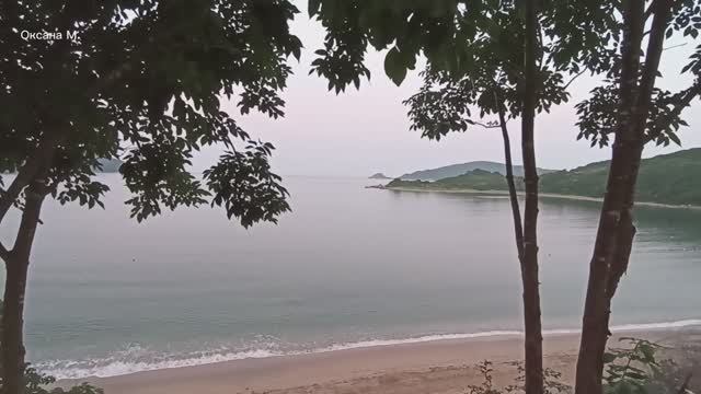 Гостевой дом в Андреевке. Июль 2024