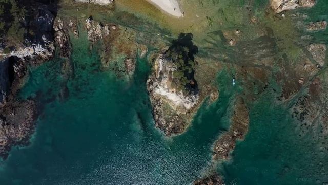 Фрэнсис Лей. Сцена ДАмур. Francis Lai   Scene DAmour