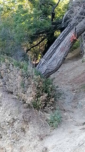 Геленджик. Джанхот.