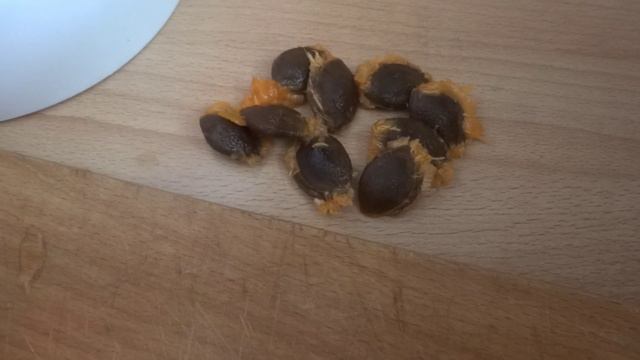 ВАРЕНЬЕ ИЗ ЯБЛОК