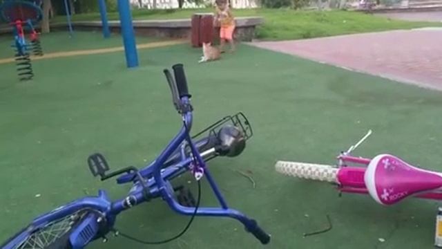 КОТ МСТИТ ДЕВОЧКИ)))) ТОП ПРИКОЛЫ 2025