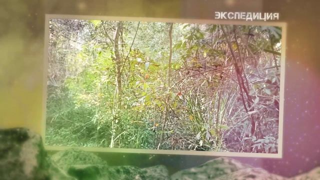 Экспедиция 10. Вадим Прохоров. Вьетнам