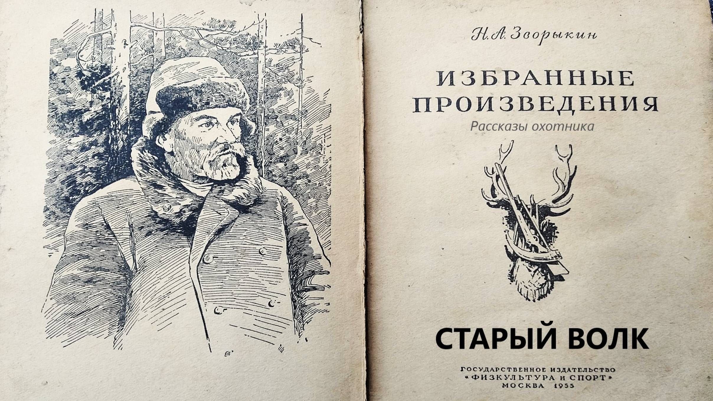 Старый волк. Н.А. Зворыкин. Рассказы охотника