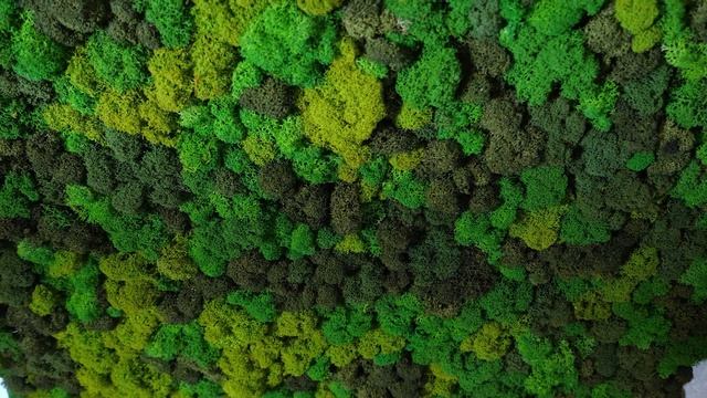 Перегородка для комнаты | Современное строительство