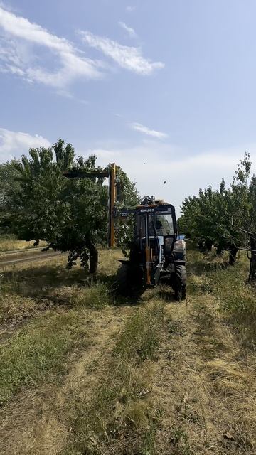 Обрезчик деревьев GX Chopper. Приводим сад в порядок!