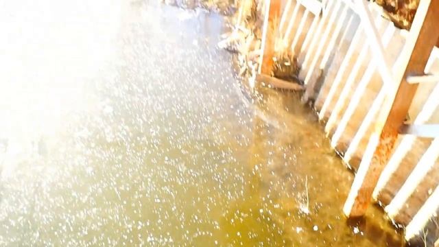 Погибла рыба по первому льду .Известкование.