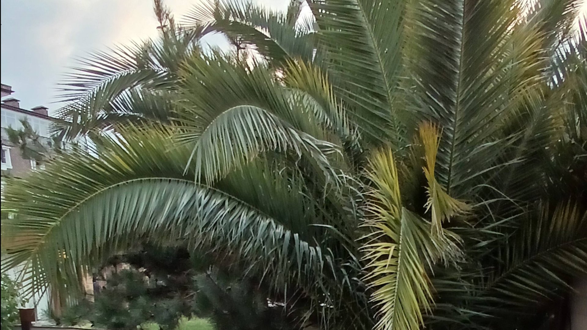 Вечерняя прогулка по набережной#Сириус