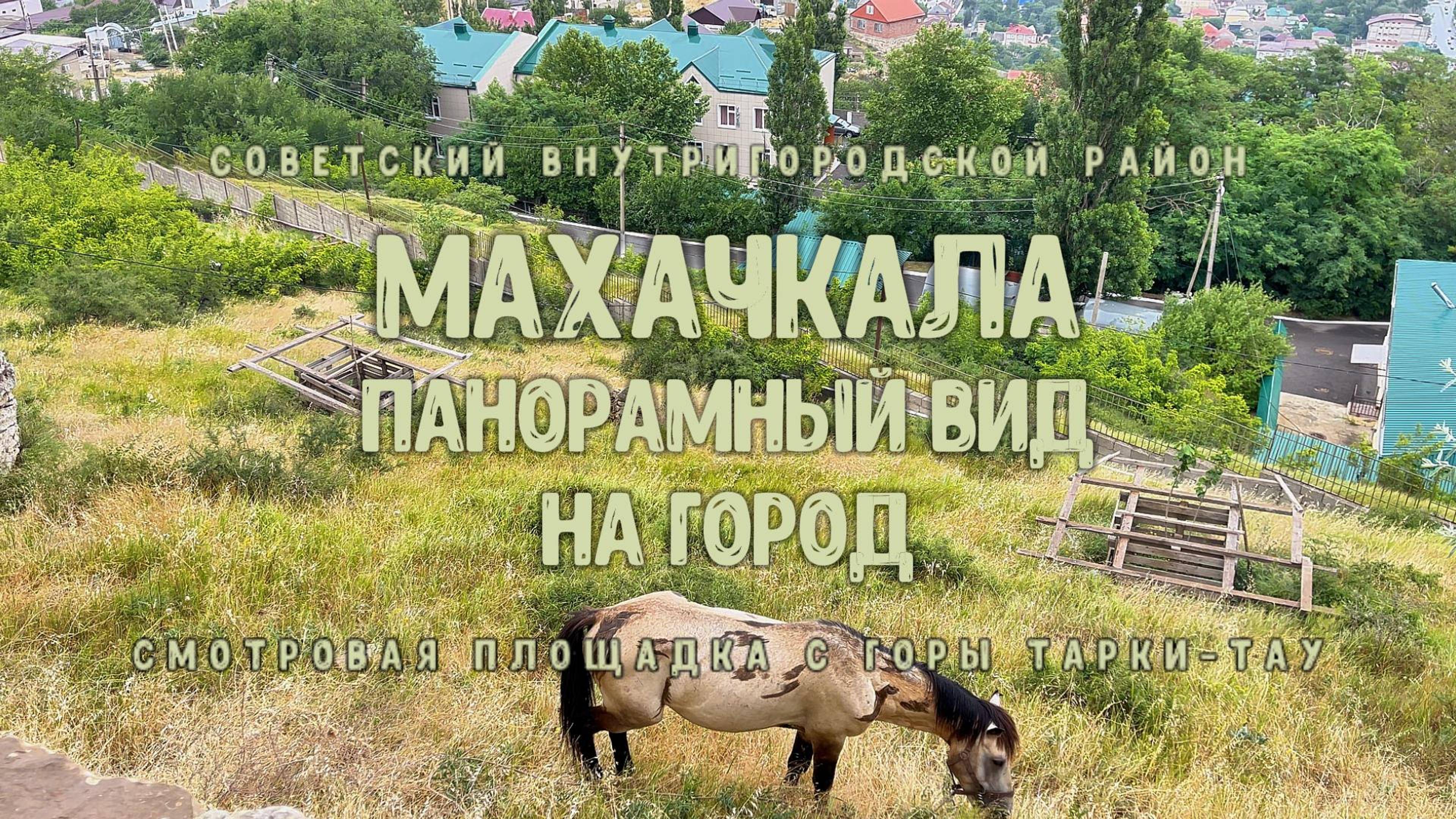 МАХАЧКАЛА. ПАНОРАМНЫЙ ВИД НА ГОРОД