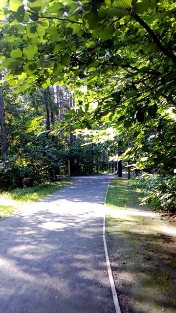 31 июля. Утро.Прогулка в парке.