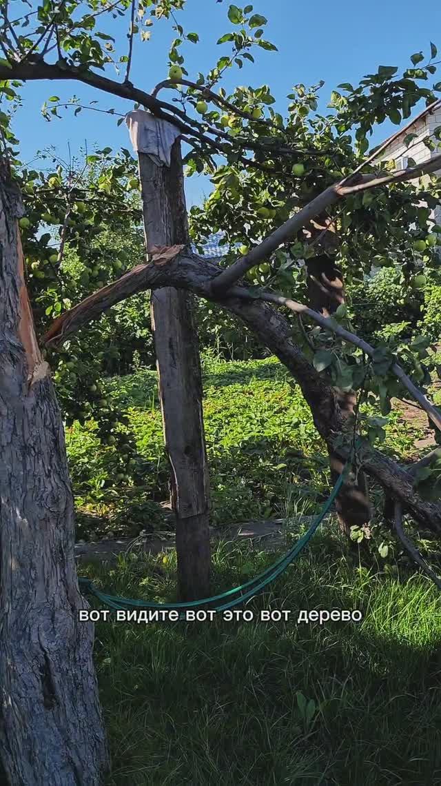 Нам нужно позволять Богу себя обрезать