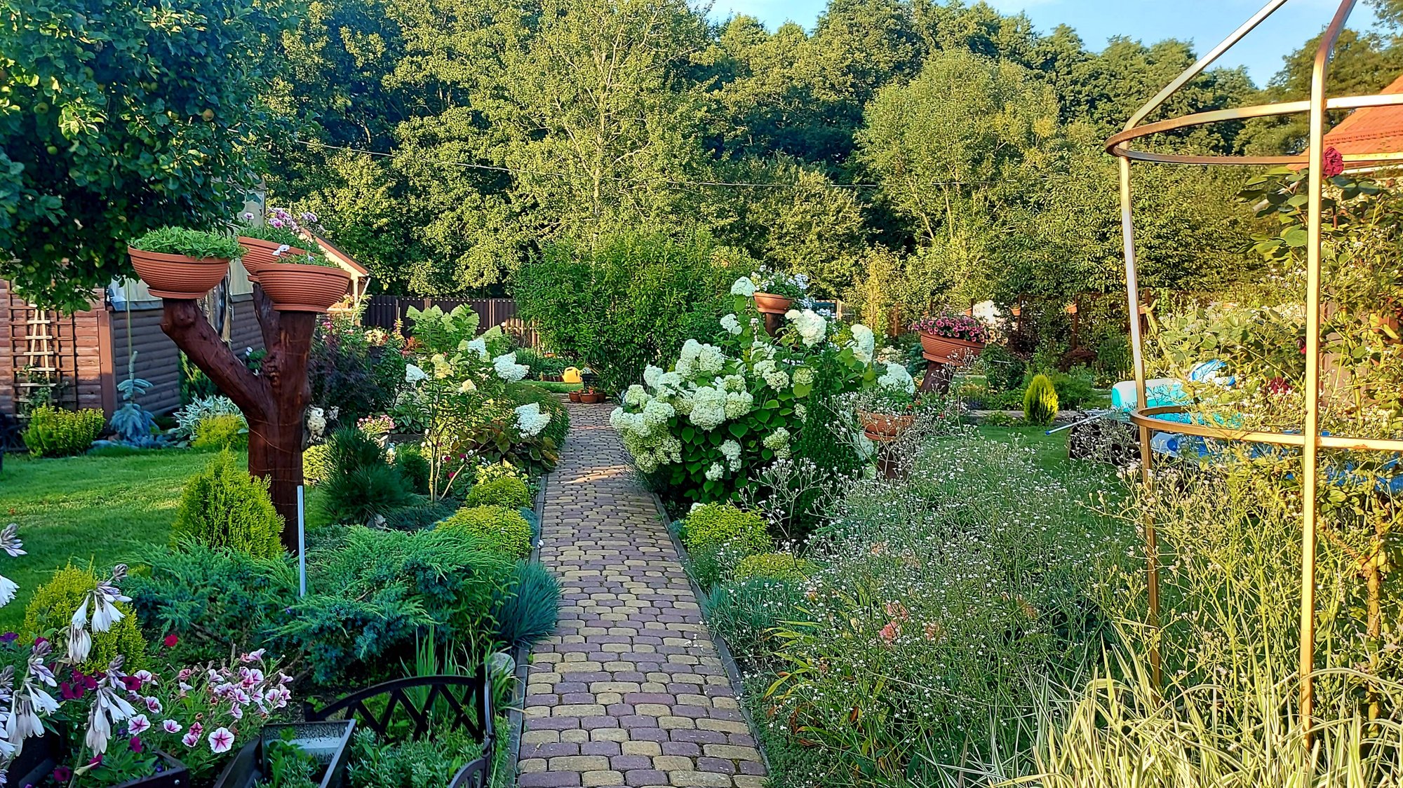 Моя любимая дача на 01.08.2025 г.🌞💚🌸