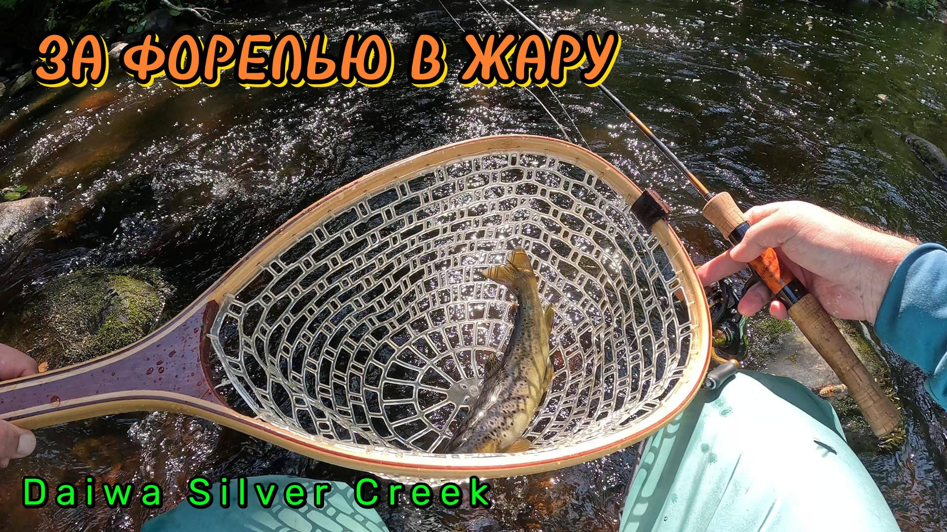 За форелью в жару. Спиннинг Daiwa Silver Creek