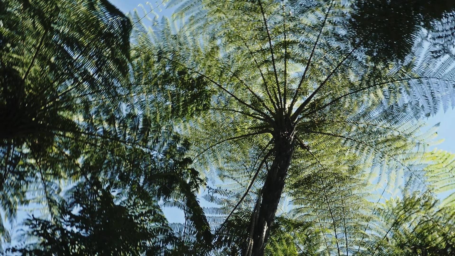 Съёмка и монтаж бэкстейджа документального проекта в Мексике #видеопродакшн #видномонтаж