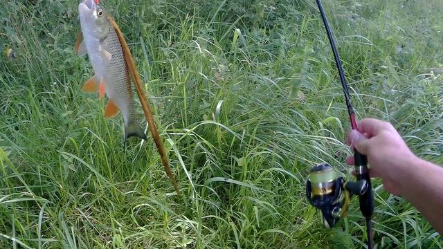 ГОЛАВЛЬ, ПОЙМАННЫЙ НА ЛУЧШИЙ ВОБЛЕР!