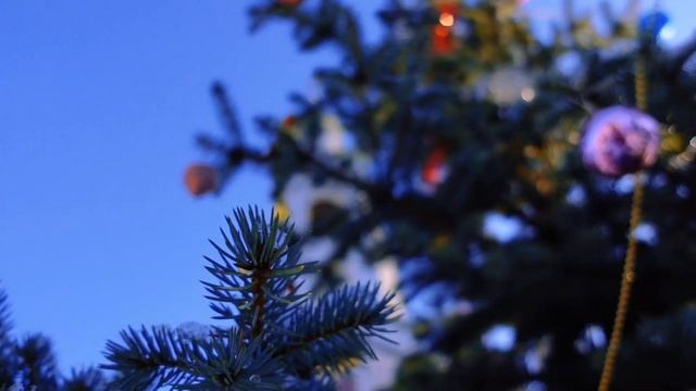 С Рождеством Христовым!