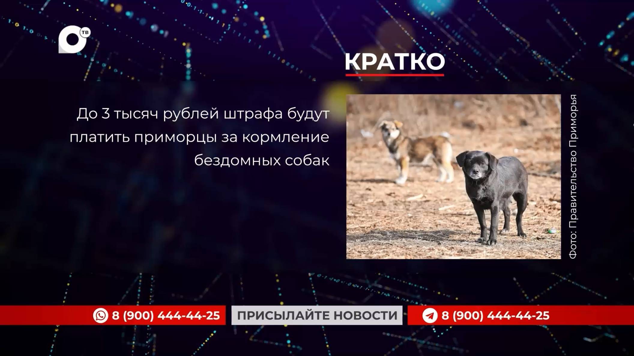 Кратко / 01.08.25 / Вечер