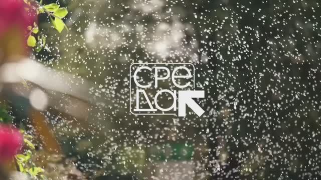 15 минут утренней йоги для начинающих. 3 занятие