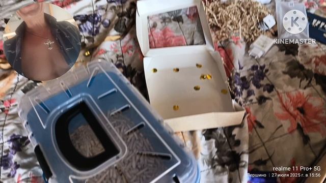 День рождения Ванюшки - 8 лет. 27.07.2025