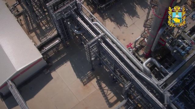 5. МИНСОЦЗАЩИТЫ КРАЯ