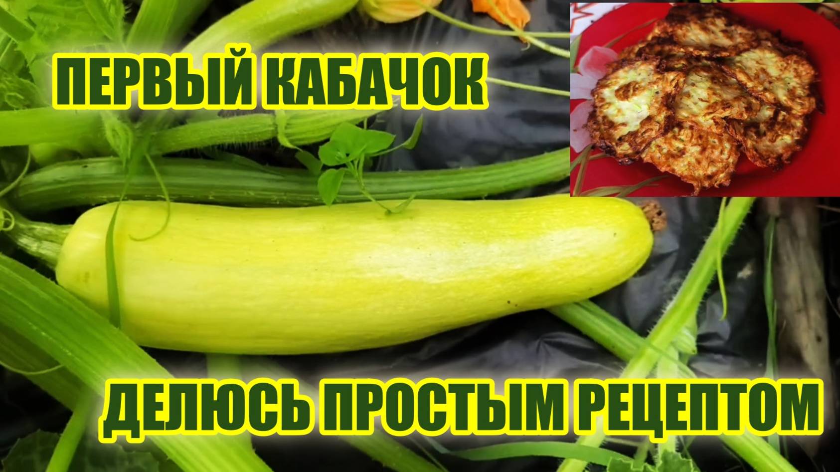 Бюджетные кабачковые оладьи — быстро и вкусно!