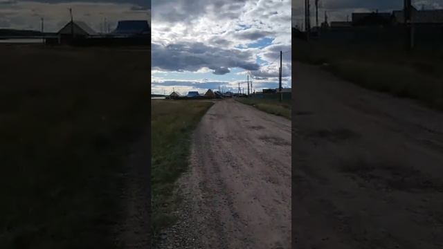 Южная окраина с. Борогонцы, 2025 г.