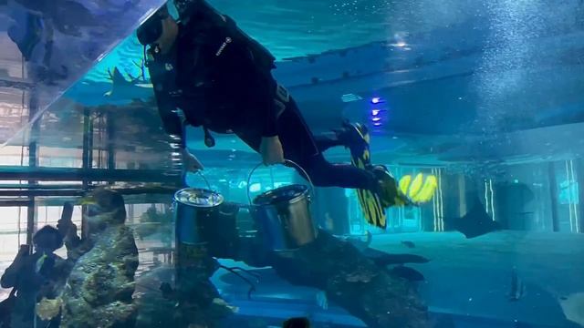 Грузия, Батуми, отель Параграф, Paragraph Resort & Spa Shekvetili Квалити ТУР