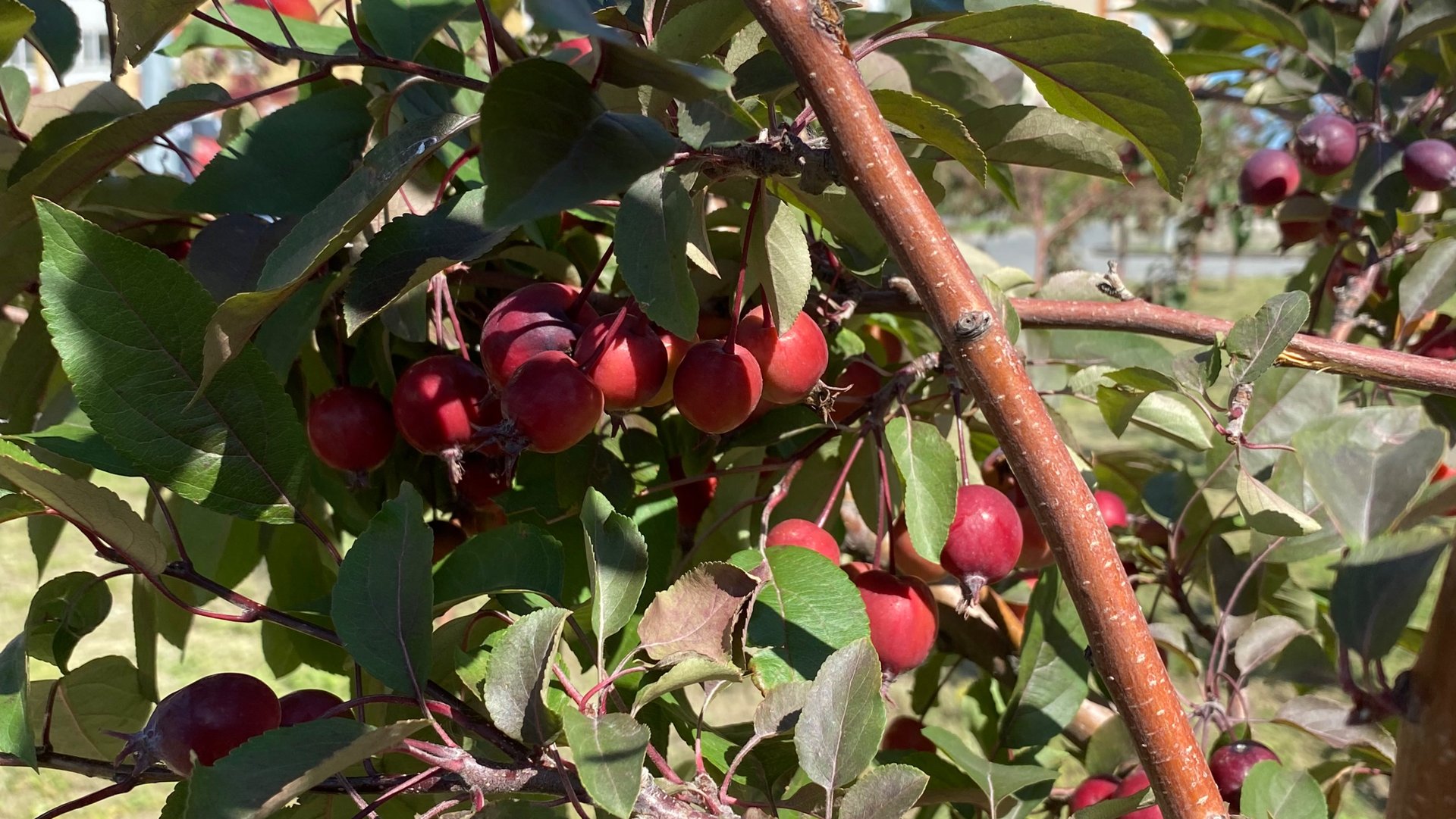 Автопутешествие из Нижневартовска в Татарстан, часть 1 // Тюмень горячий источник «Волна»