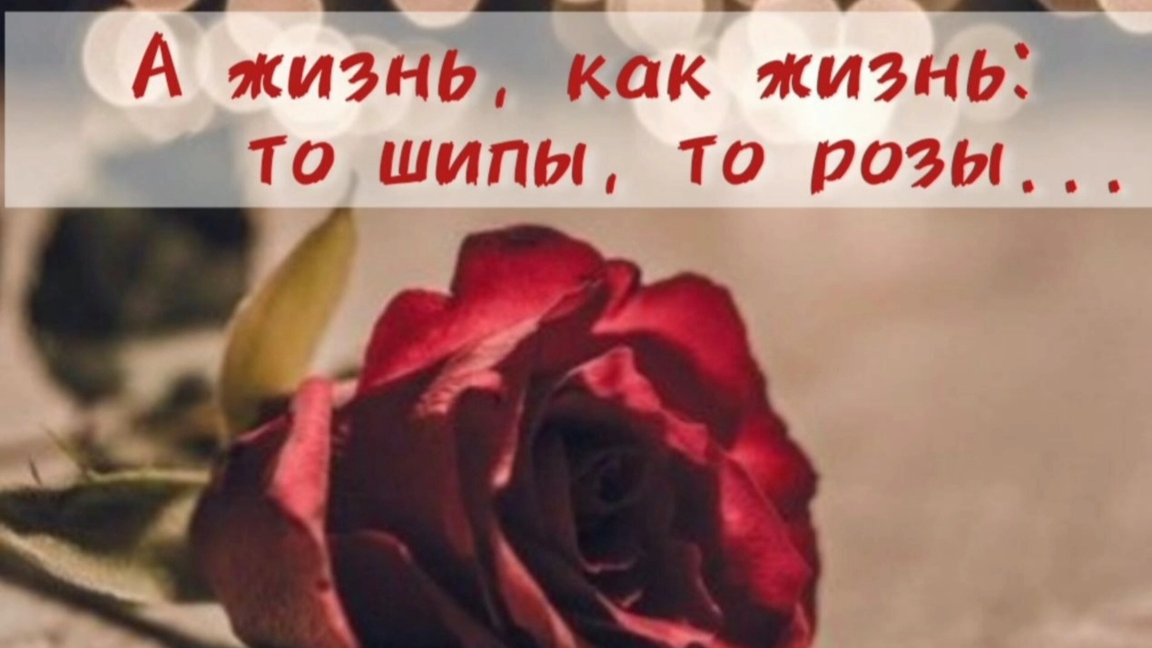 А жизнь, как жизнь... | стихи христианские