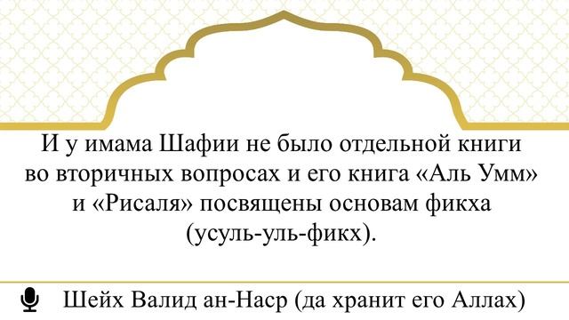 287) Окончательное слово касательно 4-х имамов и о последствиях религиозного фанатазима. Шейх Уалид