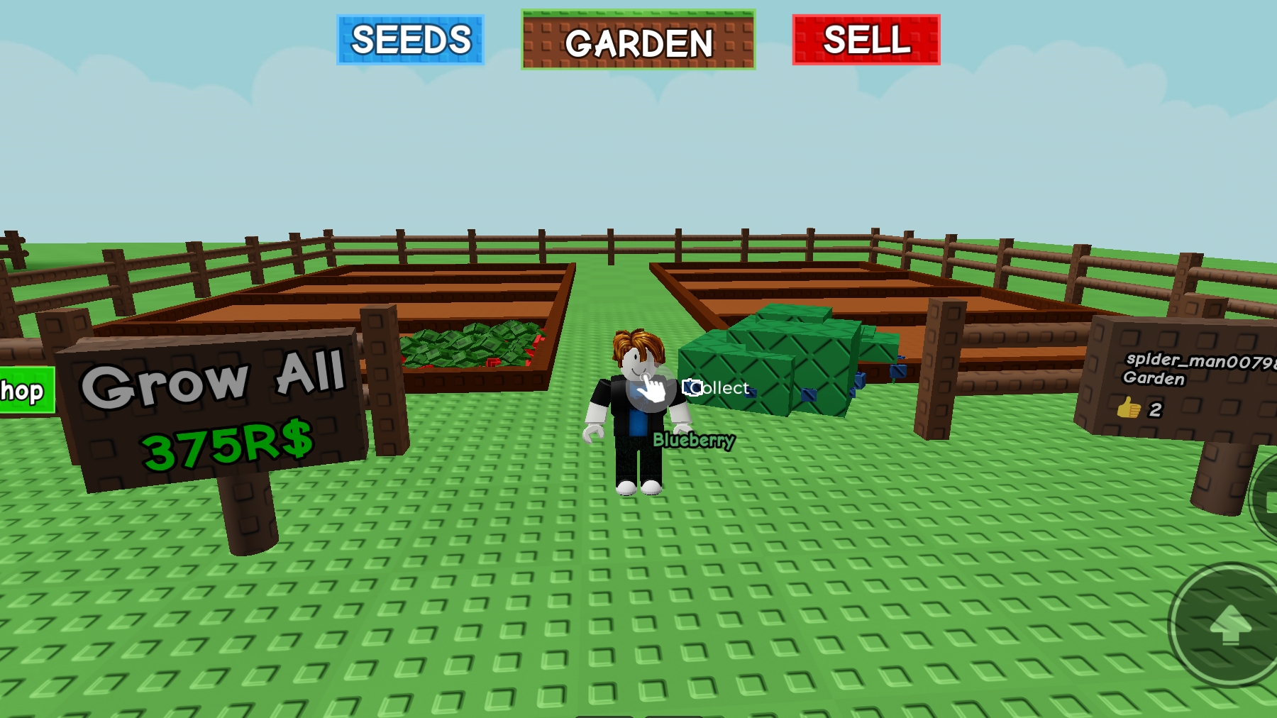 играем в Роблокс [💢] Вырасти сад 🌶️#live