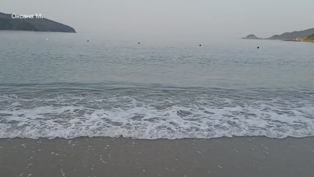 Море, чайки. Рисовая бухта, Андреевка