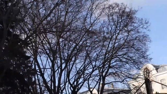 Прогулка по городу. ВГАУ и парк.