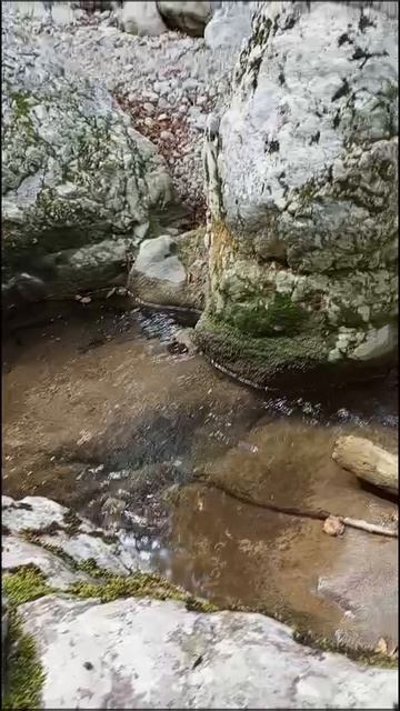 VID_20240922_144213