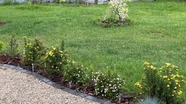 летний дождь в саду