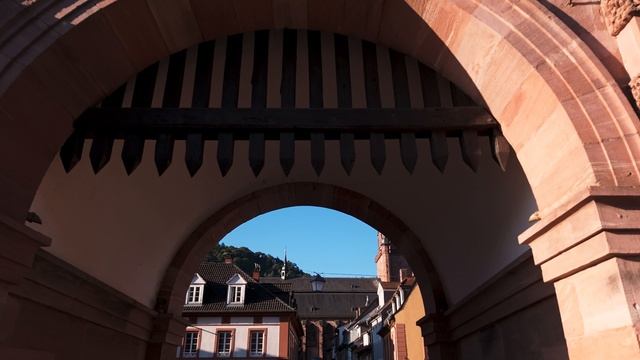 14055907_3840_2160_60fps