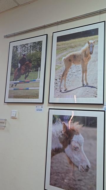 Выставка "Лошади. Подарившие человеку крылья"