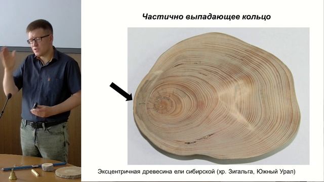 Лекция: «Как определить возраст дерева»