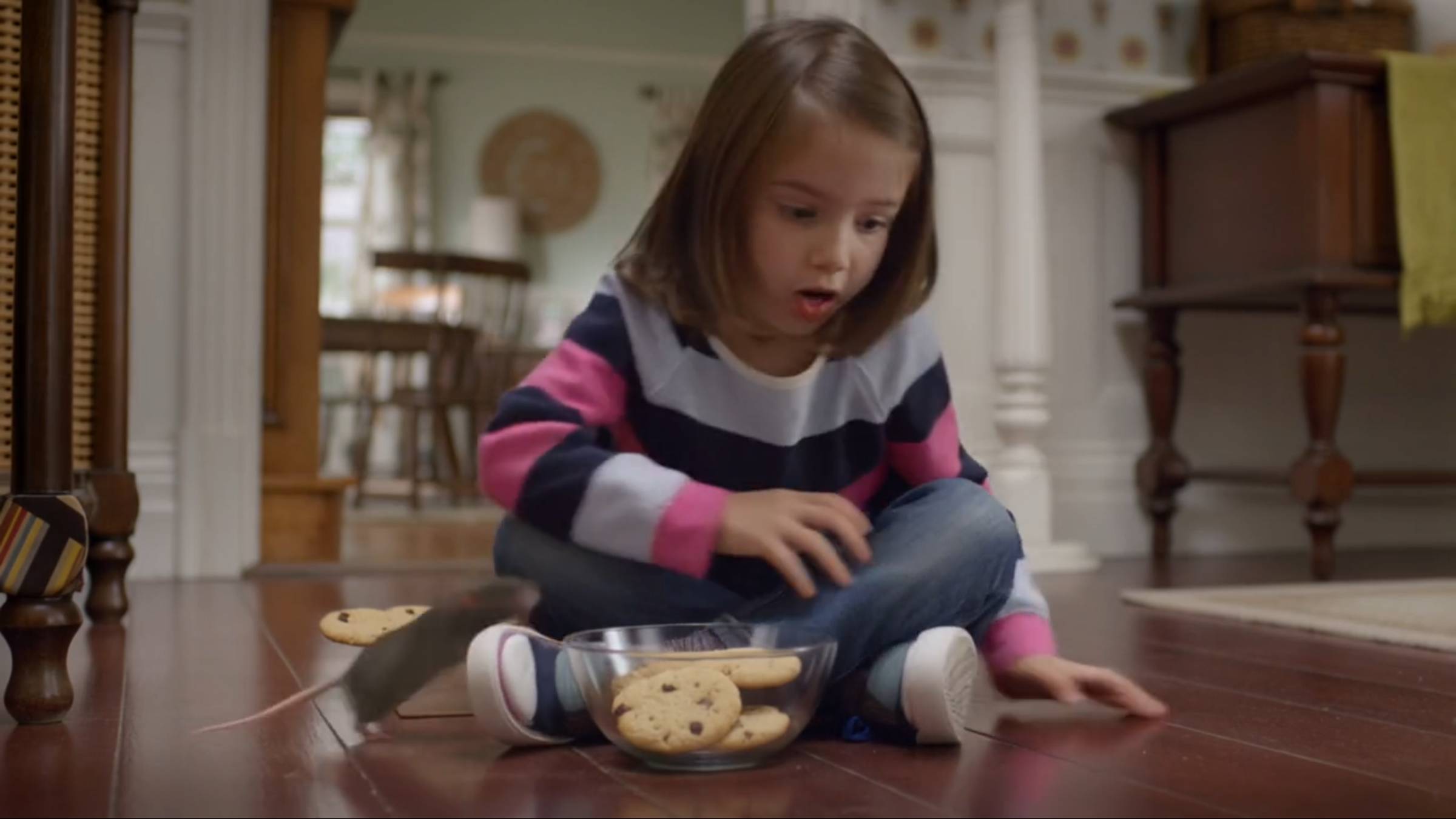 Рождение кошки