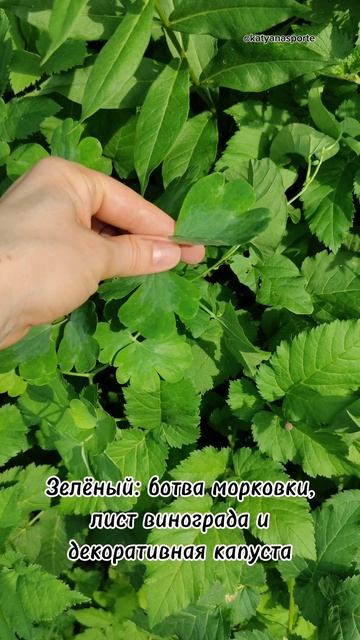 Какого цвета лето? 🌼🌿🌼🌿🌼