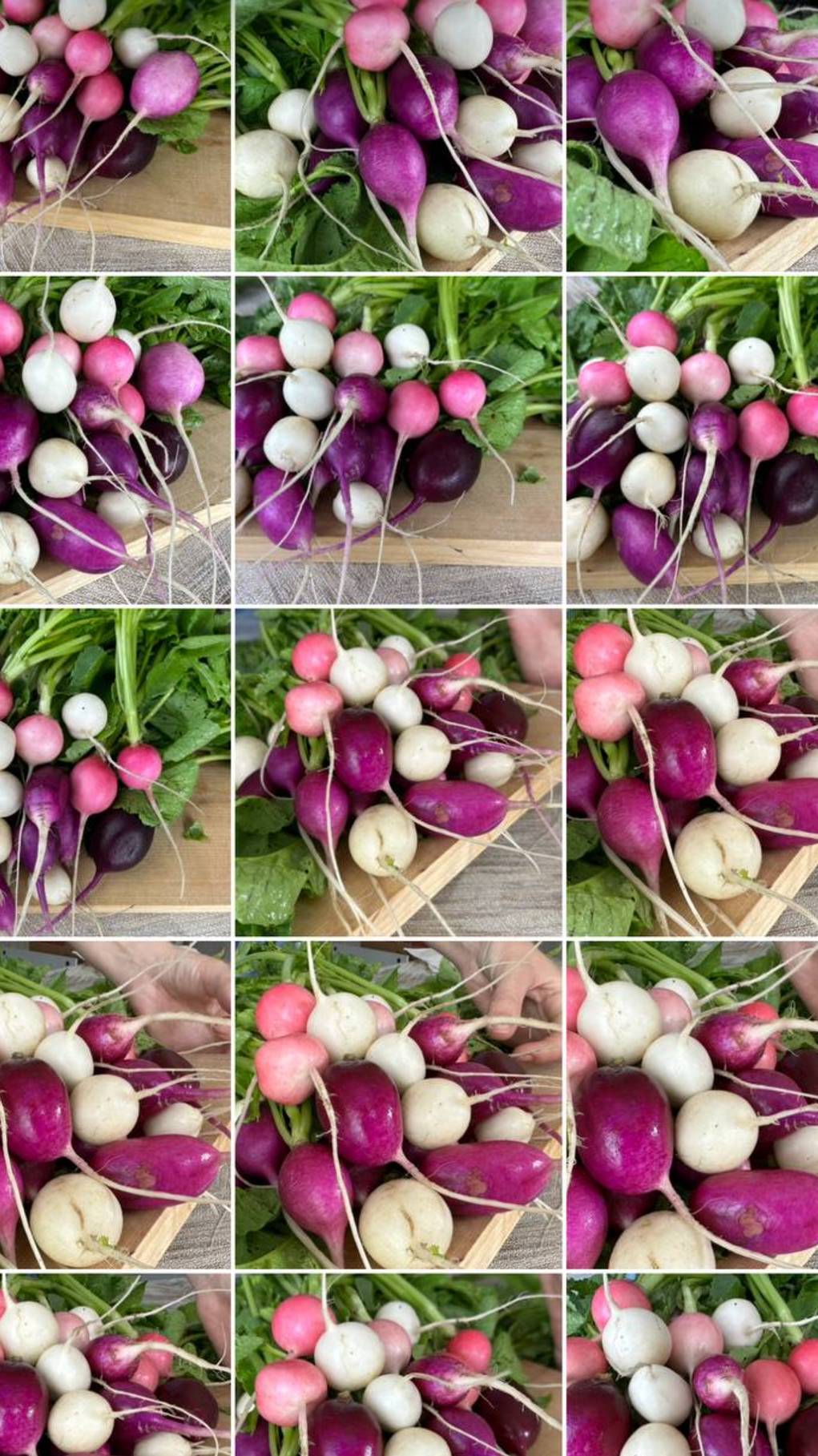 Посадка редиса