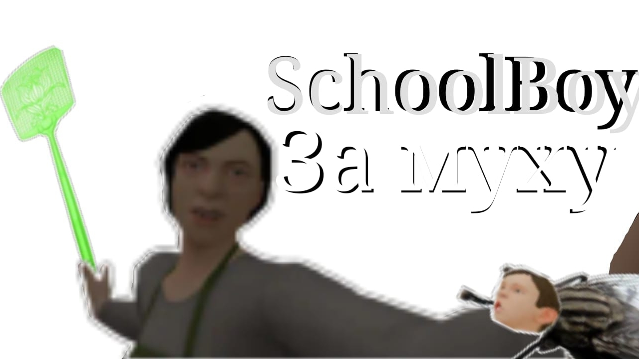 Schoolboy игра за муху
