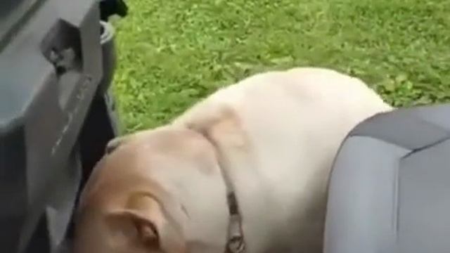 ДРУГ Я С ТОБОЙ ПОЕДУ НА ПРИРОДЫ ПОИГРАТЬ))))