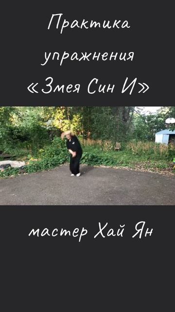 Хай Ян. Практика одиночного упражнения «Змея Син И»