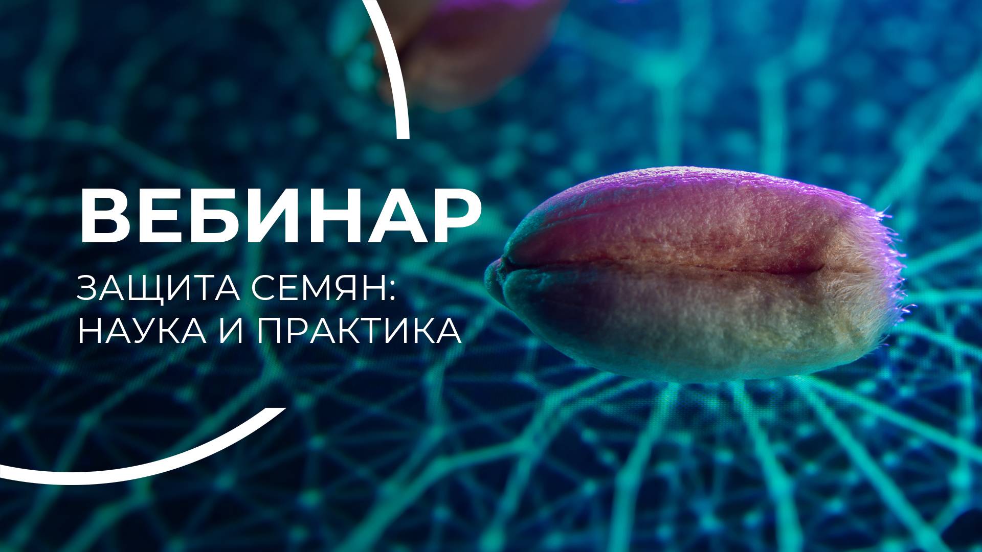 Вебинар_Протравители